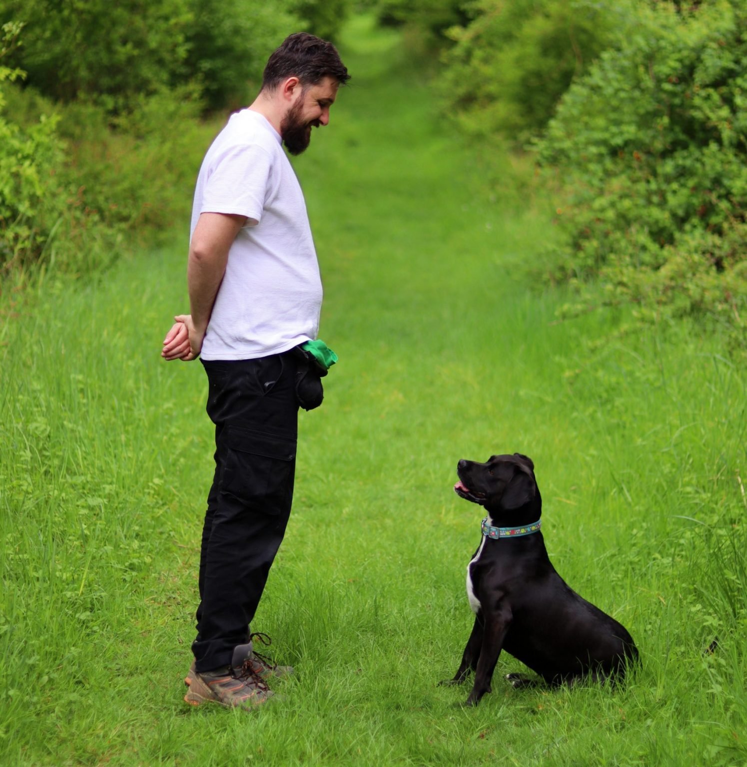 Welcome To Chris Taylor Rea Dog Training